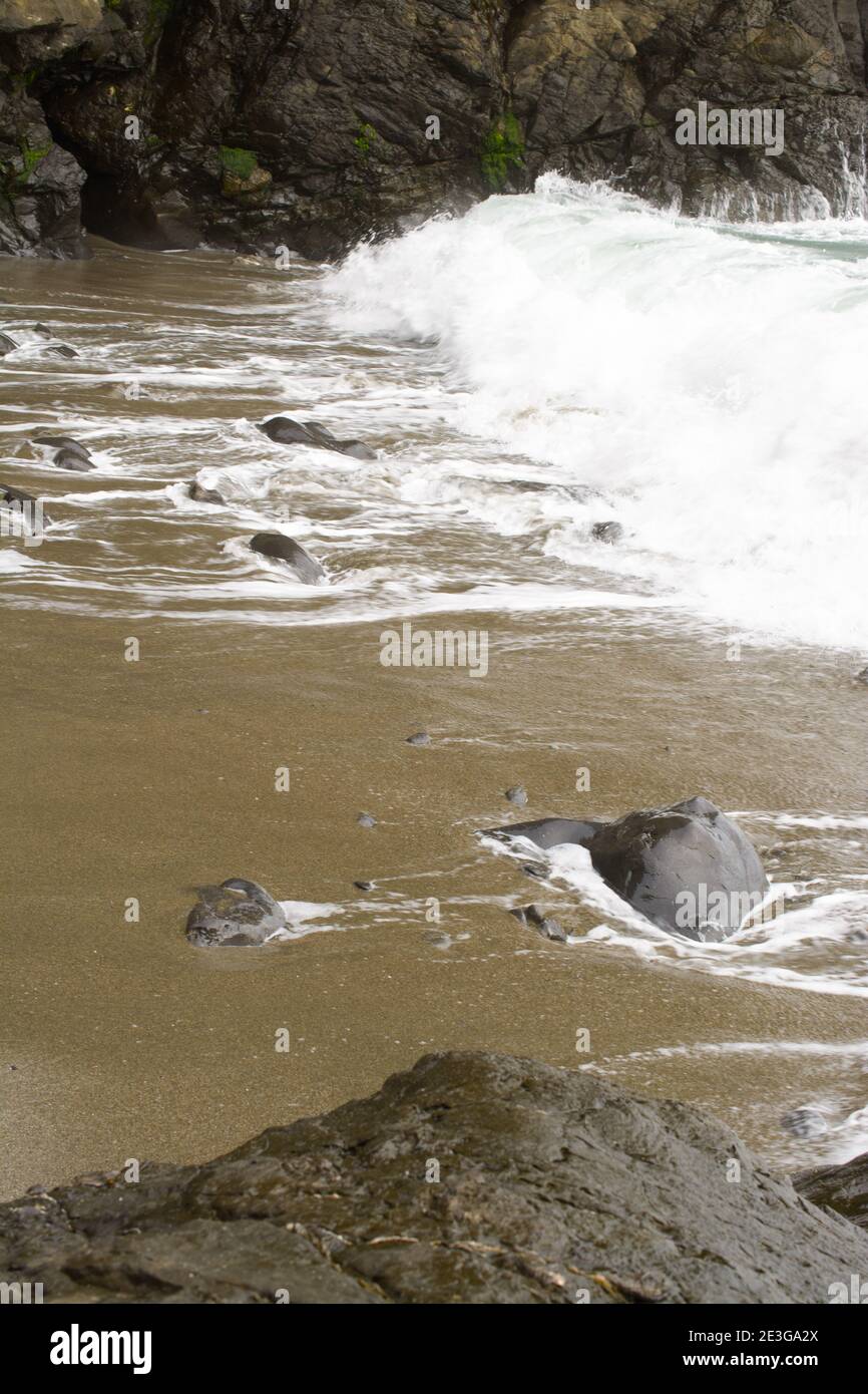 Sandy northern california beach with waves and rocks Stock Photo - Alamy