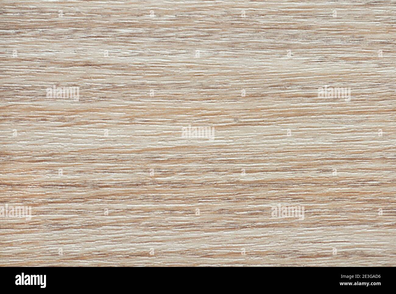 Bleached oak, flat surface of natural wood close-up. Background ...