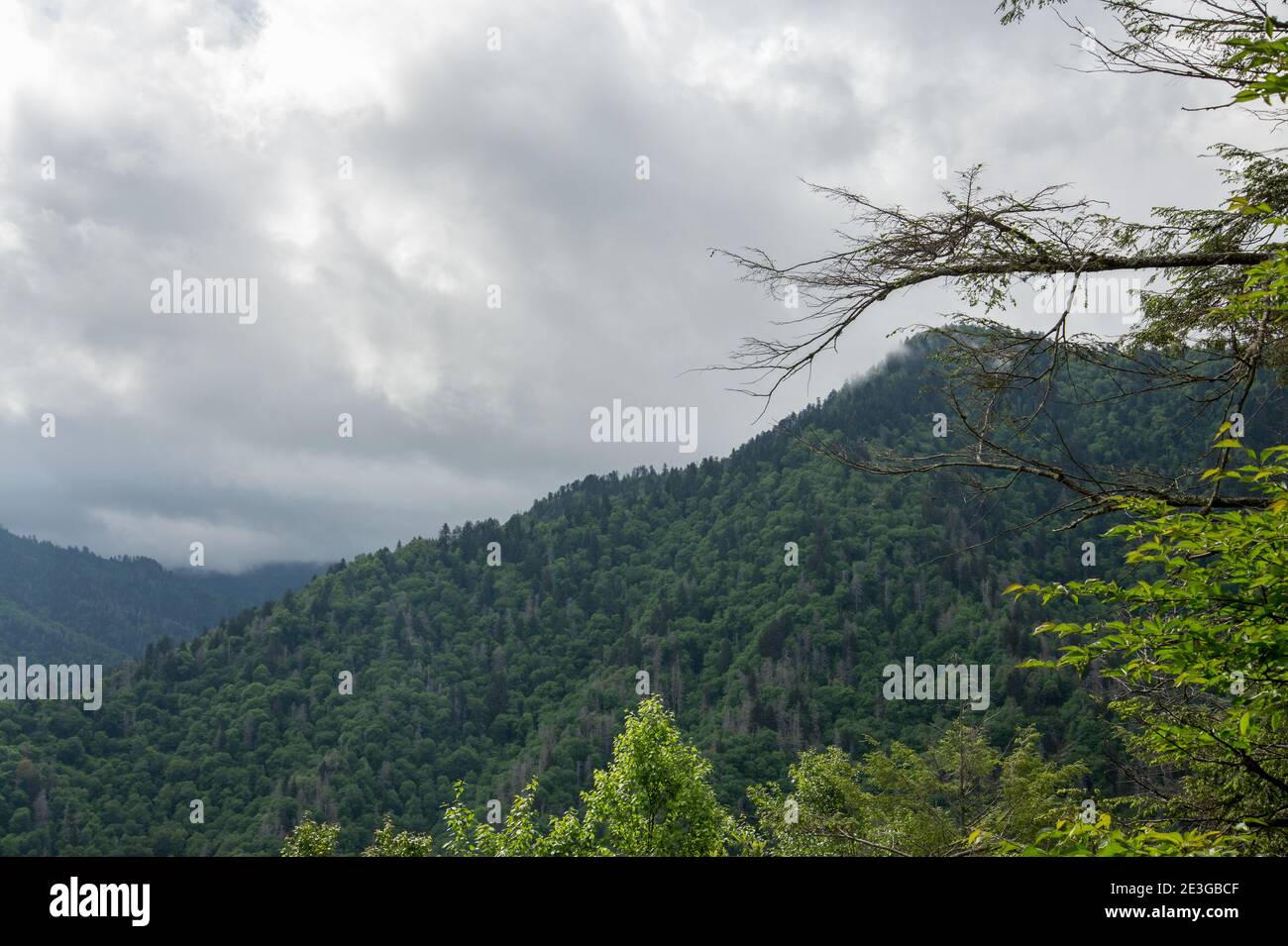 Smoky Mountains Layered Skyline with Muted Colors Stock Photo - Alamy