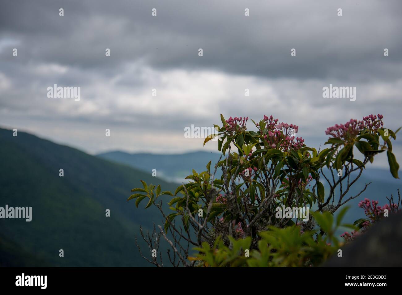 Smoky Mountains Layered Skyline with Muted Colors Stock Photo - Alamy