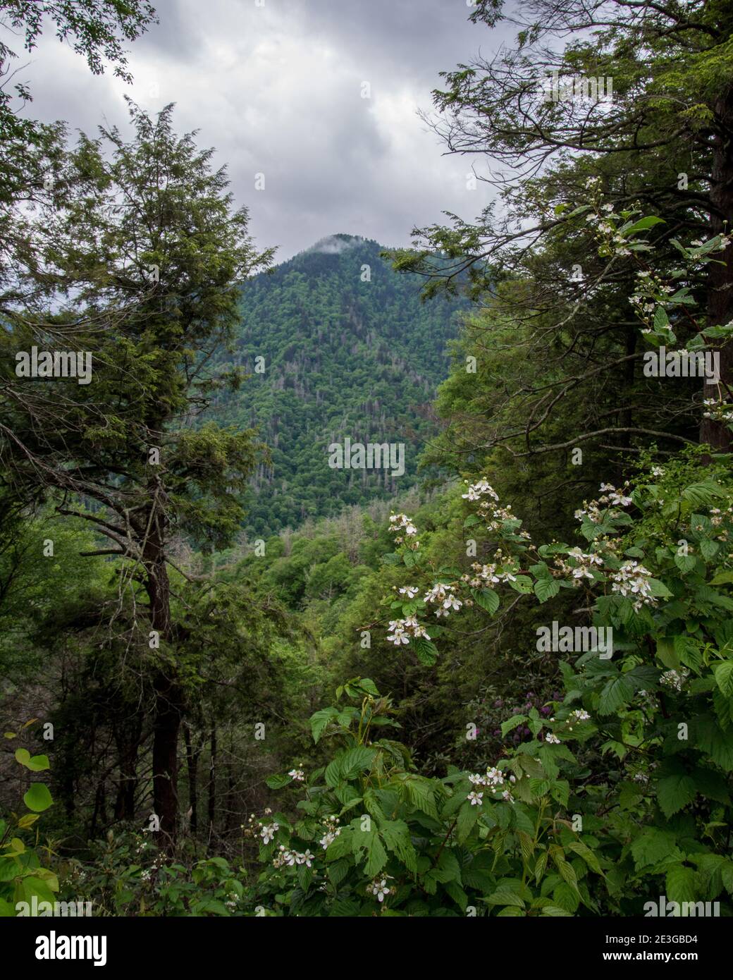 Smoky Mountains Layered Skyline with Muted Colors Stock Photo - Alamy