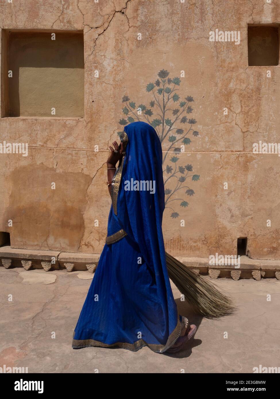 Indian broom hi-res stock photography and images - Alamy