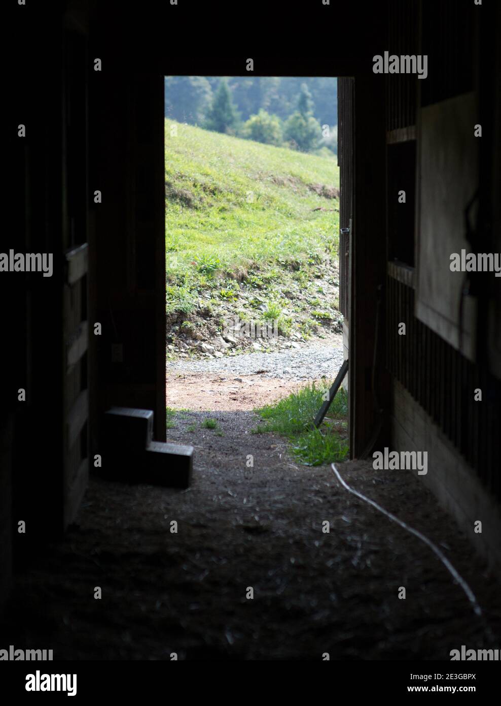 looking outside through barn door Stock Photo - Alamy
