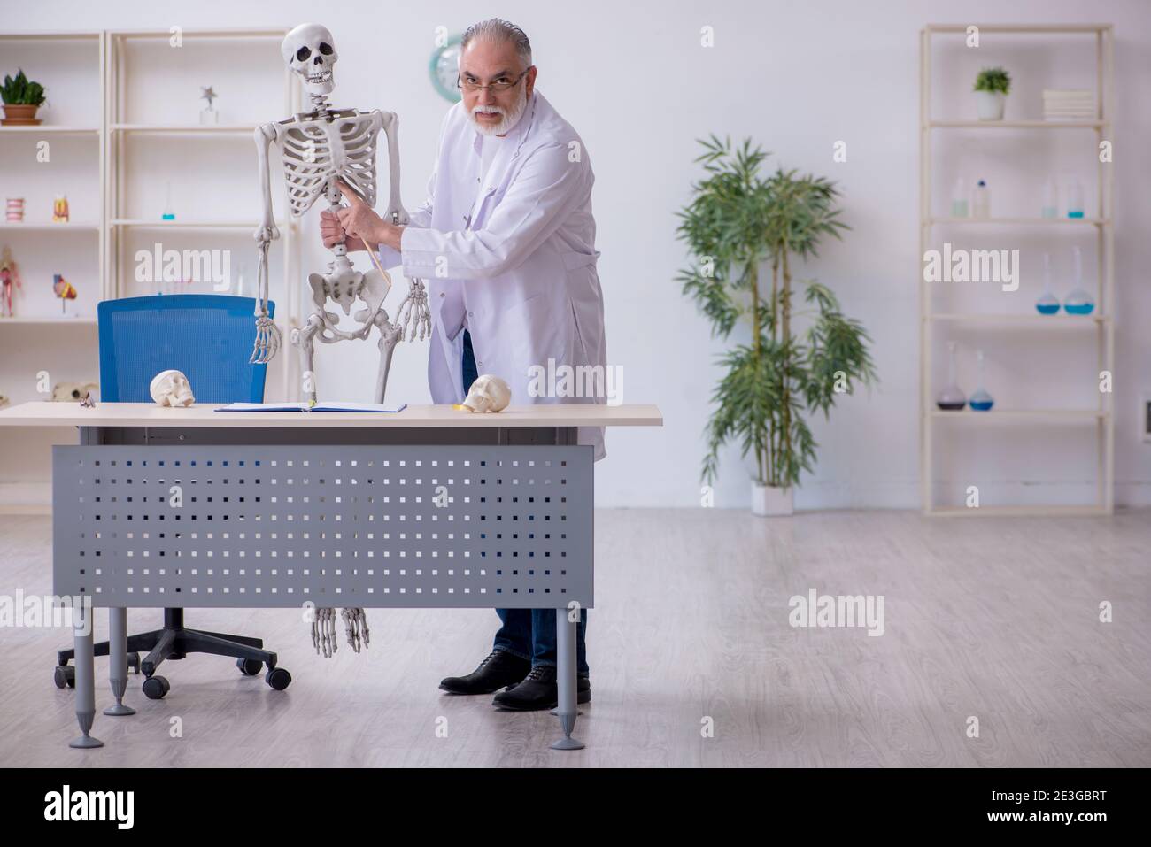 Old anatomy teacher demonstrating human skeleton Stock Photo - Alamy