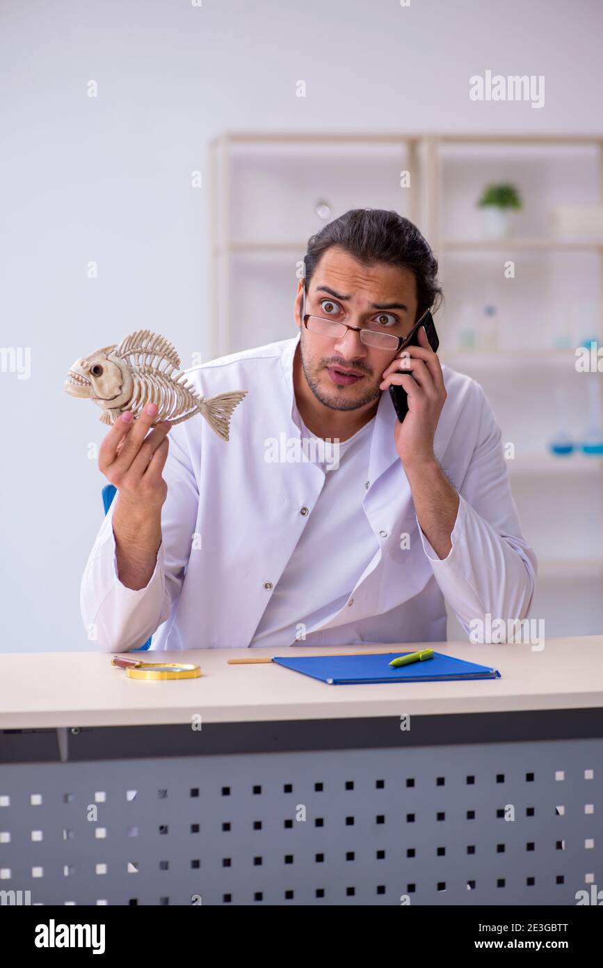Young zoologist student studying fish skeleton Stock Photo - Alamy
