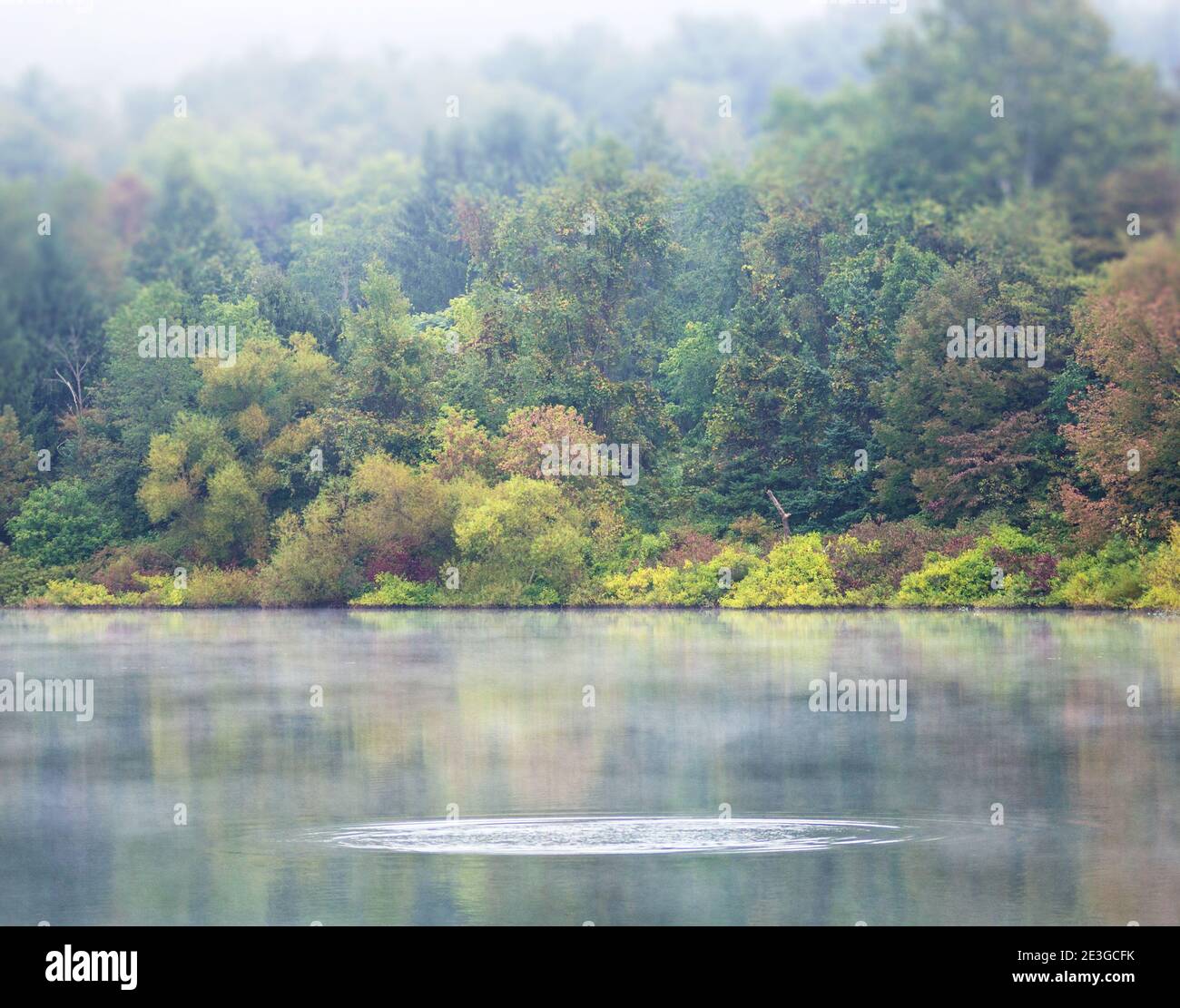 Flat light landscape of autumn landscape and fish ripple stirring the ...