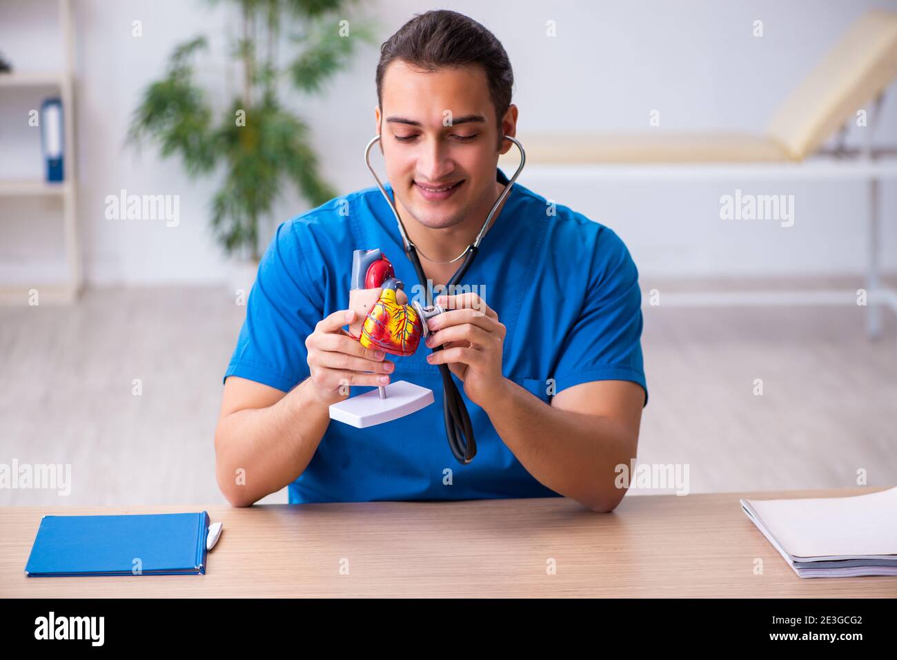 Male doctor cardiologist explaining heart model Stock Photo - Alamy