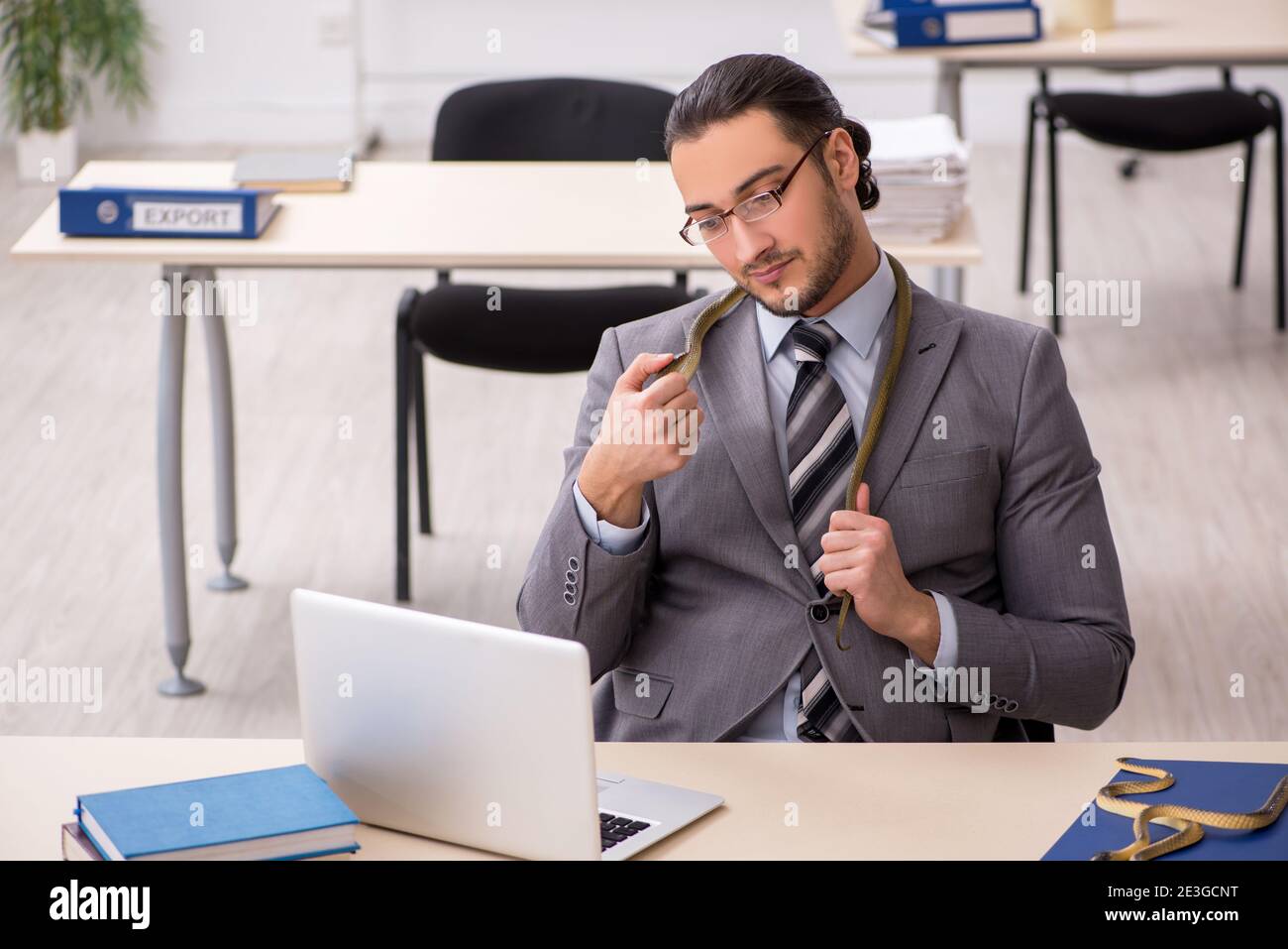 Male employee with snake in the office Stock Photo - Alamy