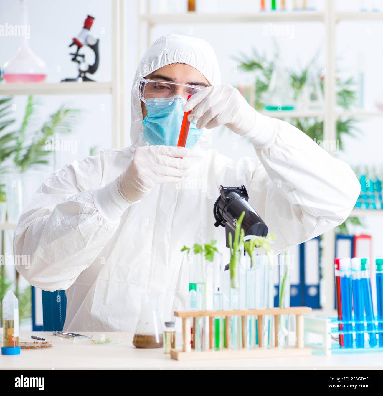 The male biochemist working in the lab on plants Stock Photo - Alamy
