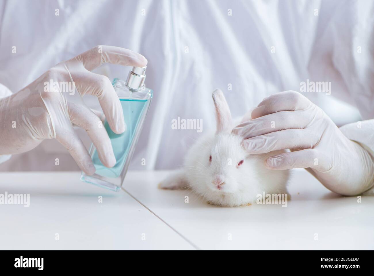 The white rabbit in scientific lab experiment Stock Photo - Alamy