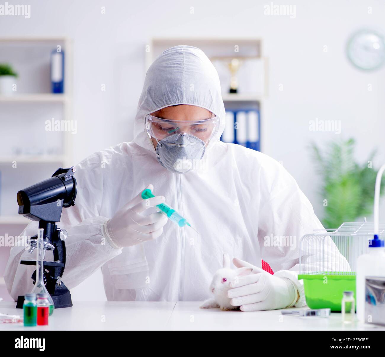 The scientist doing animal experiment in lab with rabbit Stock Photo ...