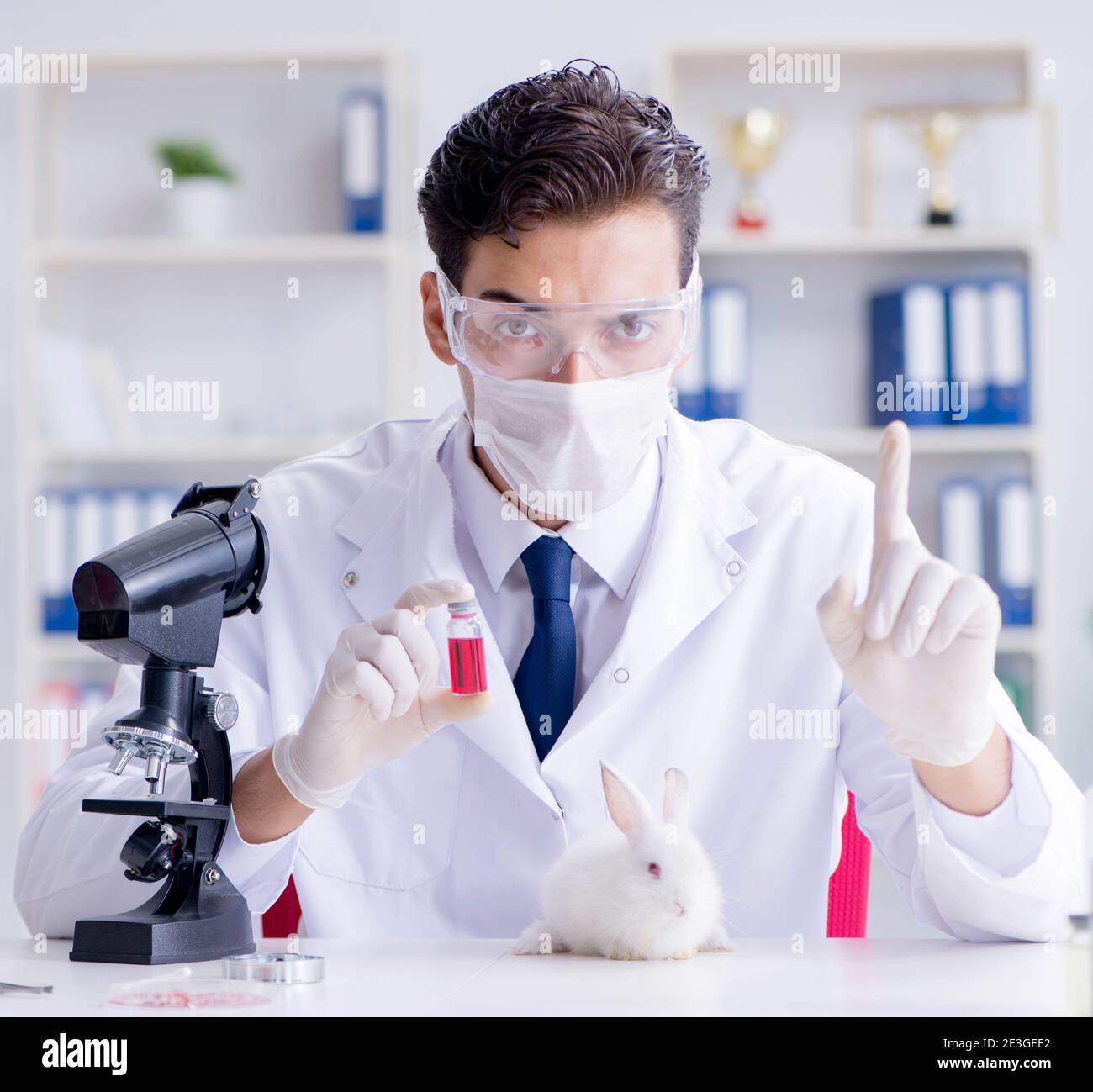 The vet doctor examining rabbit in pet hospital Stock Photo - Alamy