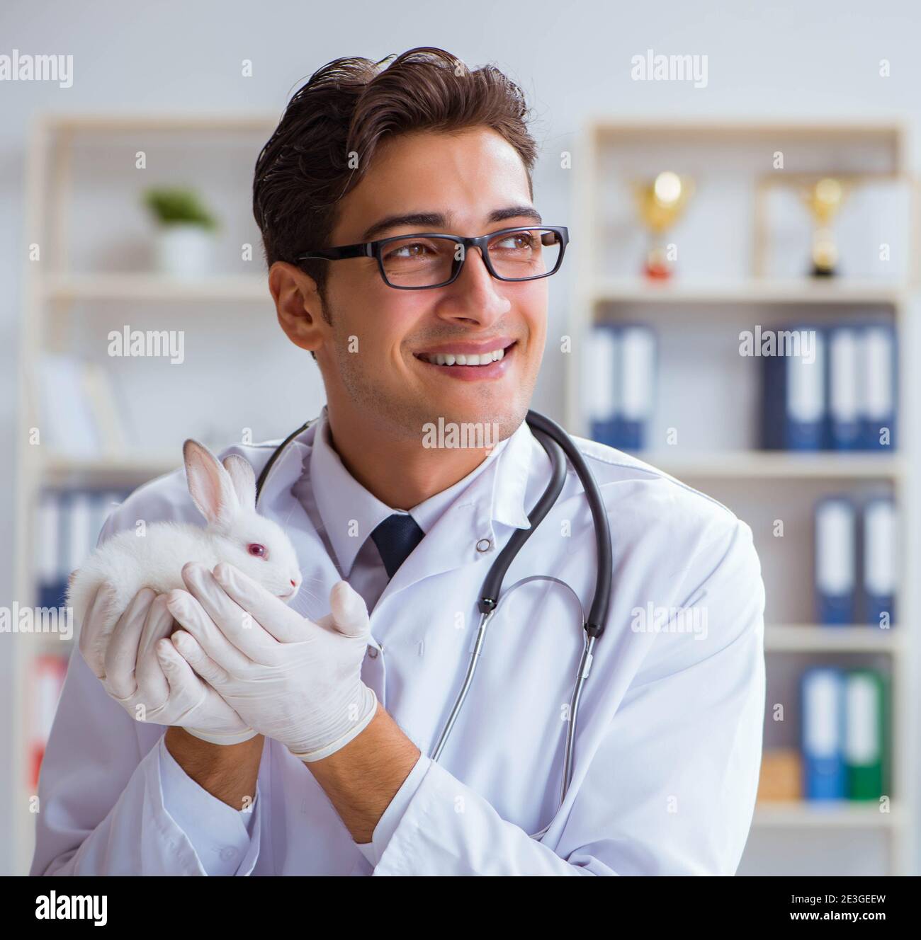 The vet doctor examining rabbit in pet hospital Stock Photo - Alamy