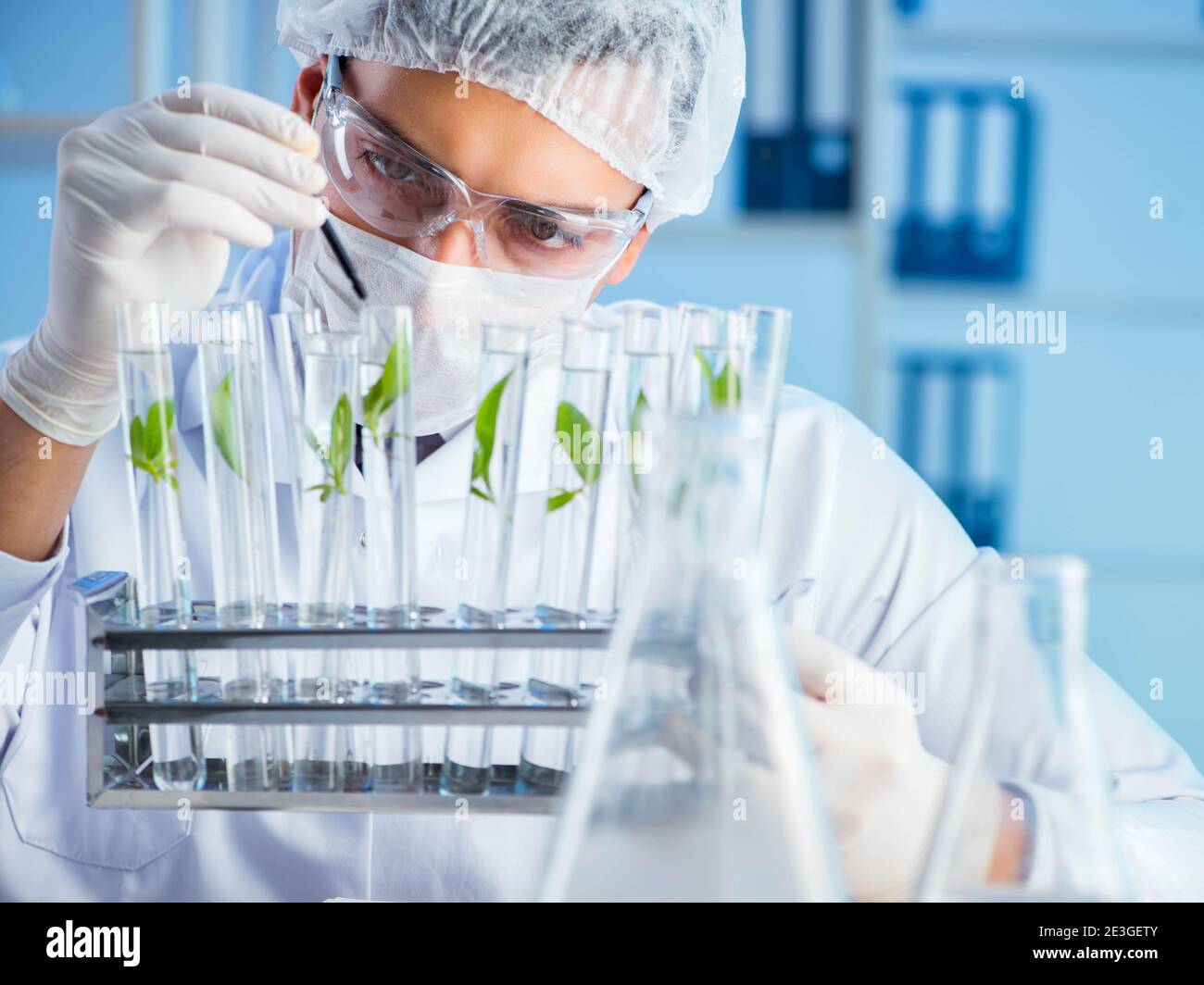 The biotechnology concept with scientist in lab Stock Photo - Alamy