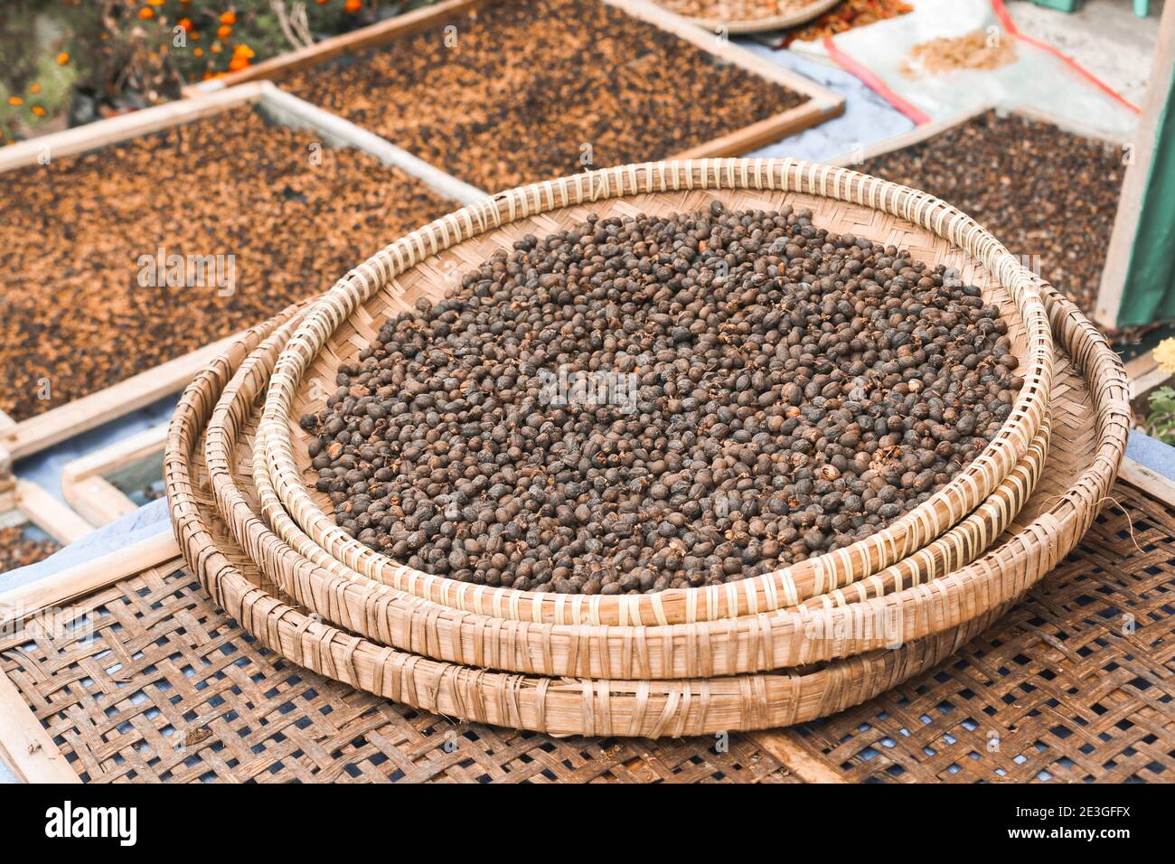 Traditional cultivation method hi-res stock photography and images - Alamy