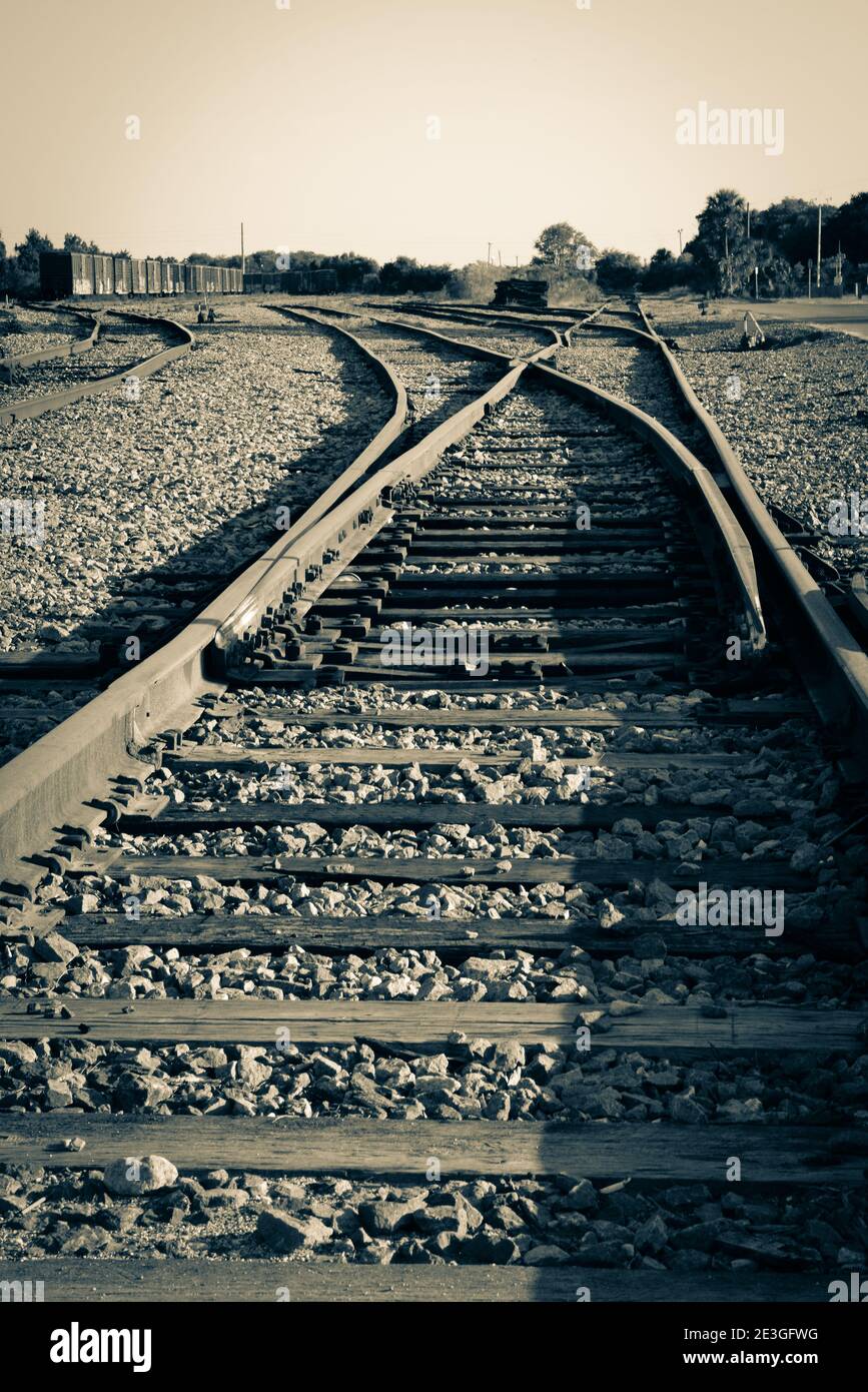 Old rusty train tracks diverging and crossing with old freight train ...