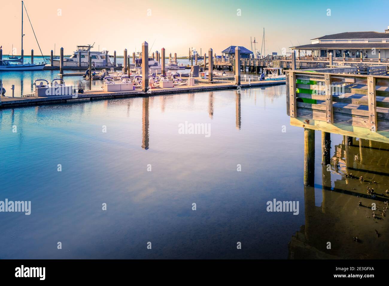 History of fernandina island hi-res stock photography and images - Alamy