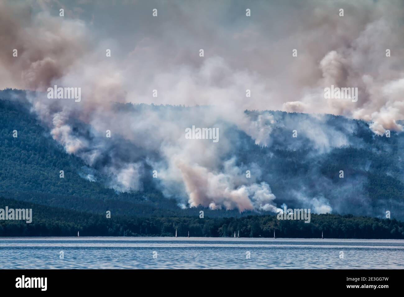 Forest fire near the lake Stock Photo - Alamy
