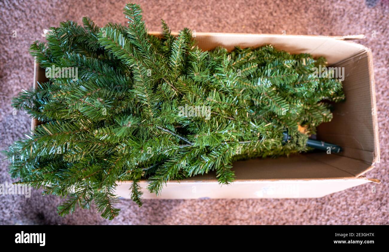 Artificial tree assembly hi-res stock photography and images - Alamy