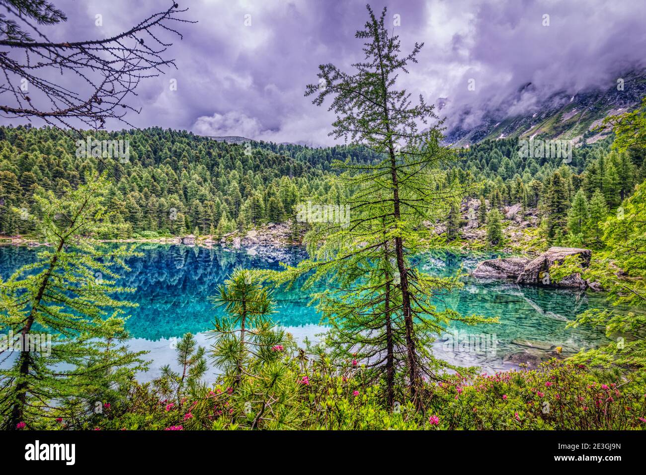 Beautiful reflections in swiss alps lake Lago di Saoseo, HDR Stock ...