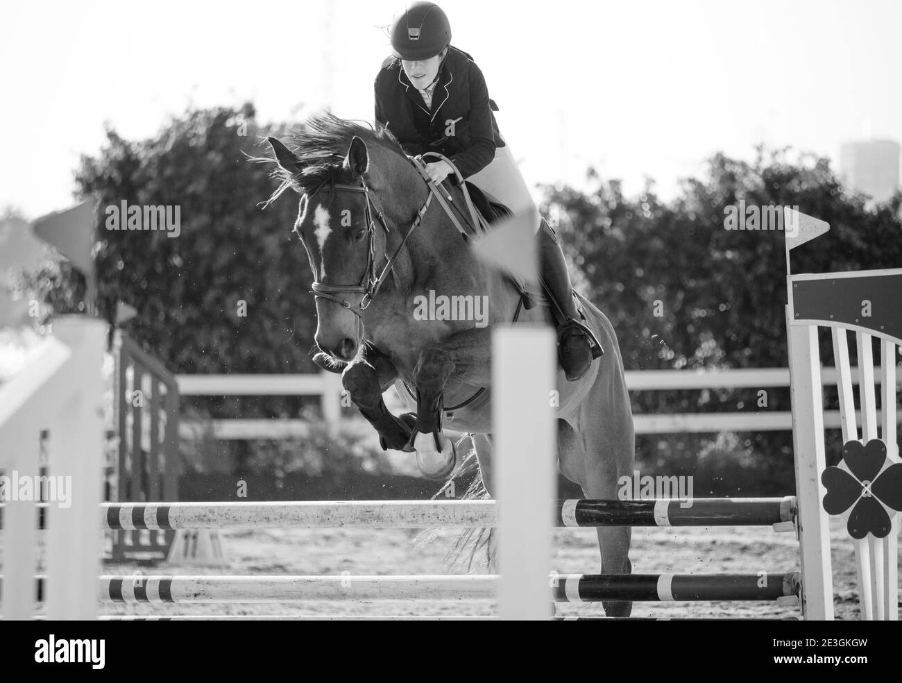 FEI World Jumping Challenge April 2019 Israel Stock Photo - Alamy