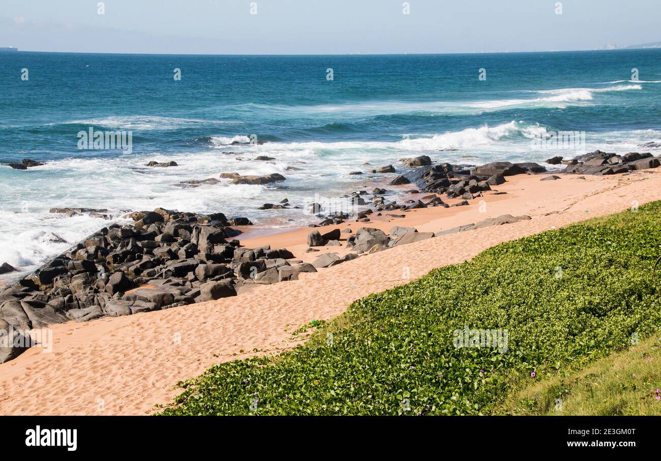 Black rocks on shoreline with green coastal vegetation Stock Photo - Alamy