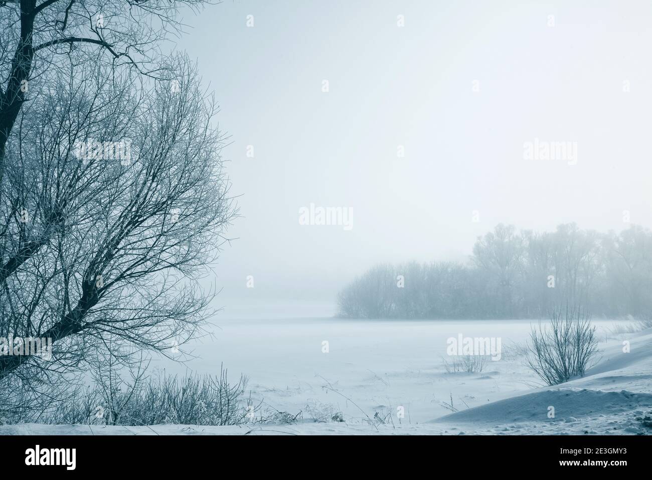 Winter, frosty landscape with white trees in a cold fog Stock Photo - Alamy