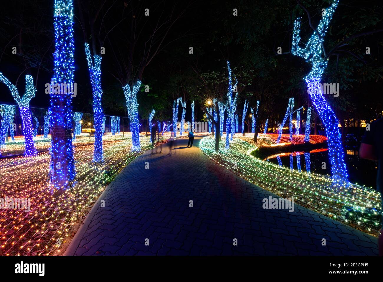 Lighting decorate on the tree in lighting festival showing countdown ...