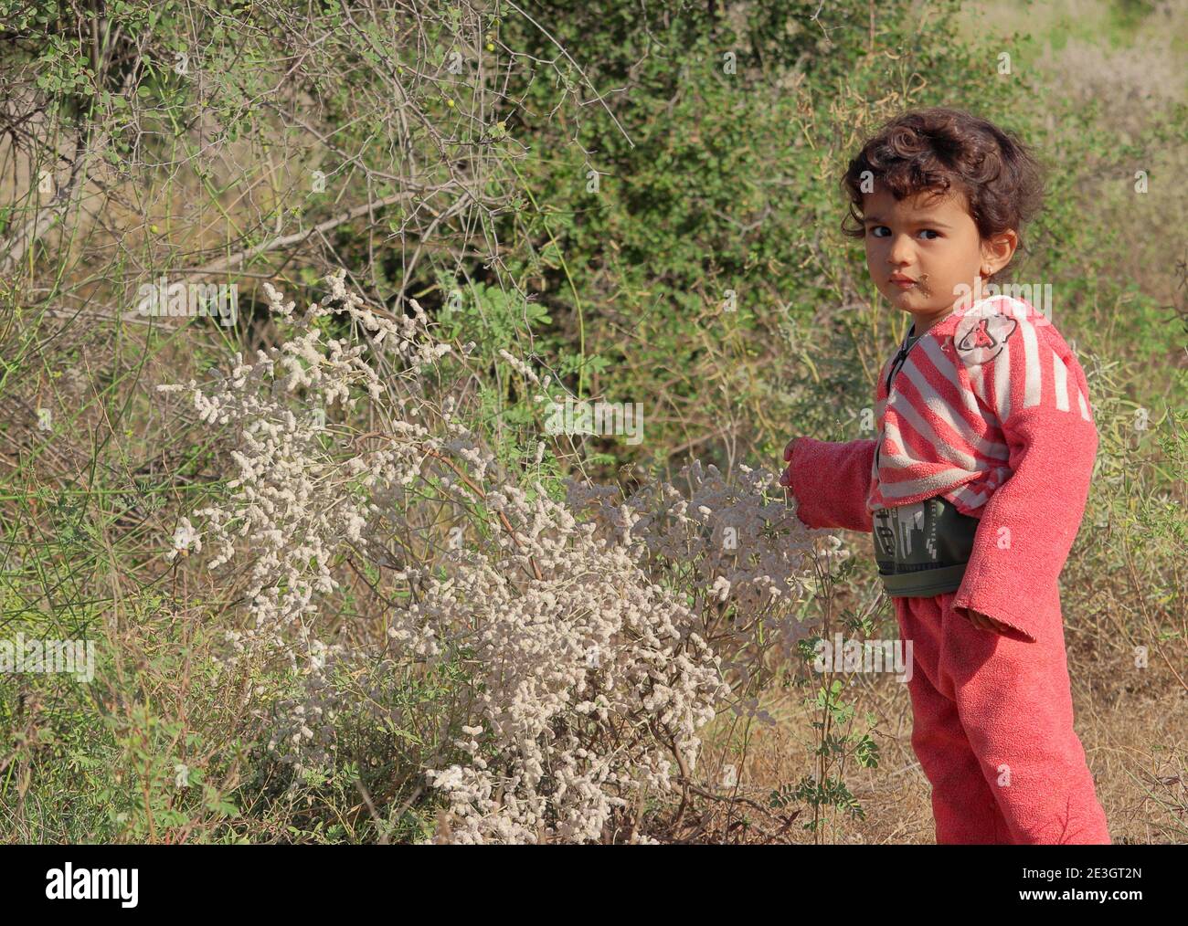 A beautiful Indian child standing in the forest looking at the camera ...