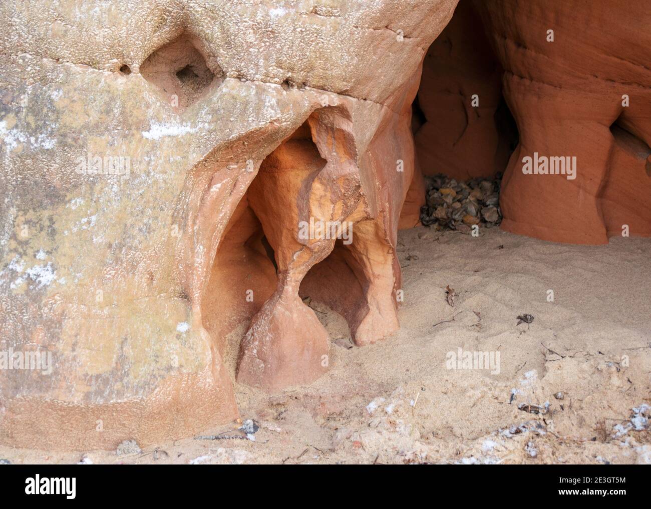 Sea cliff with Devonian sandstone outcrops. During the storm, niches ...