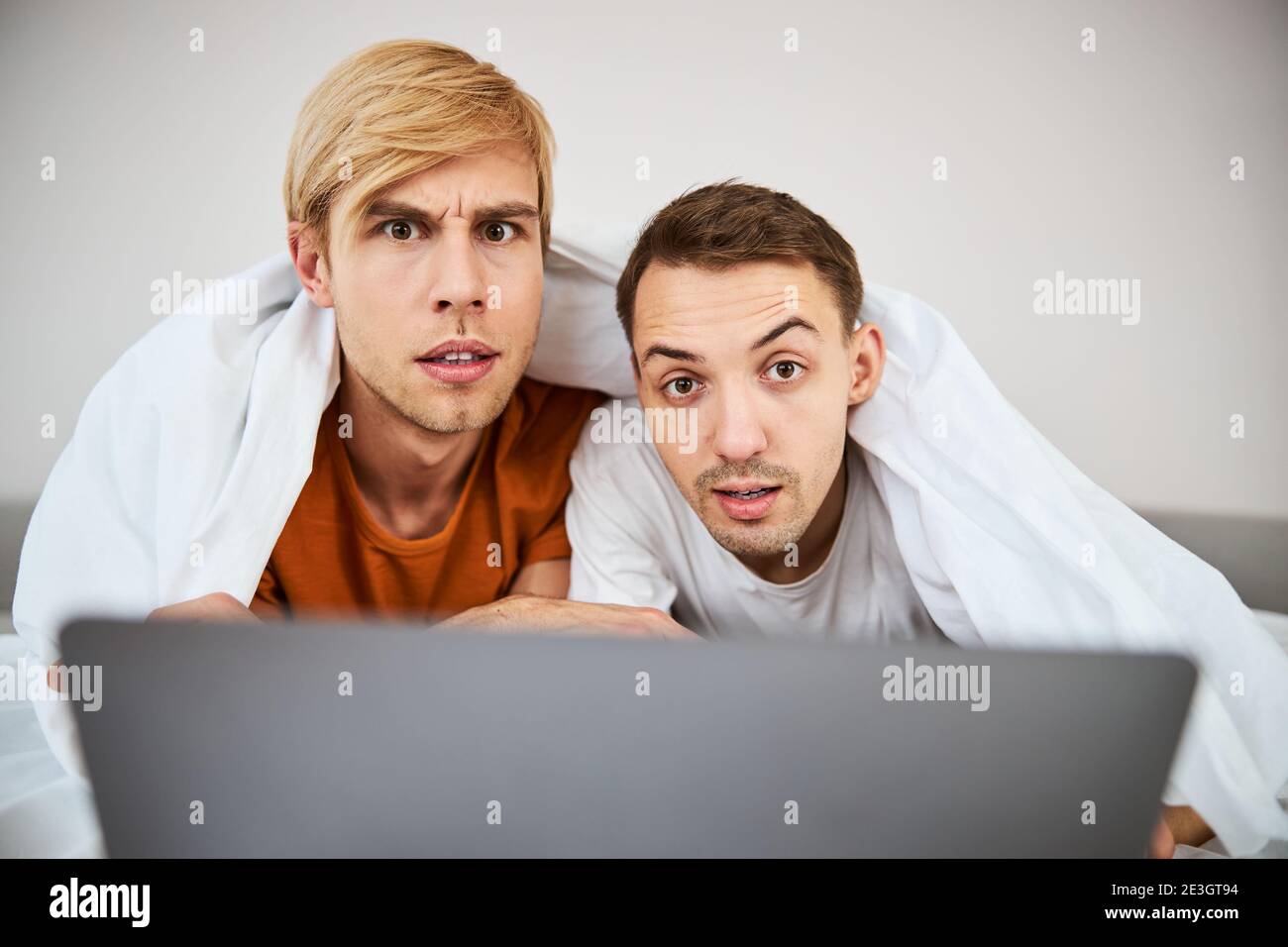 Cute gay couple using modern laptop at home Stock Photo - Alamy