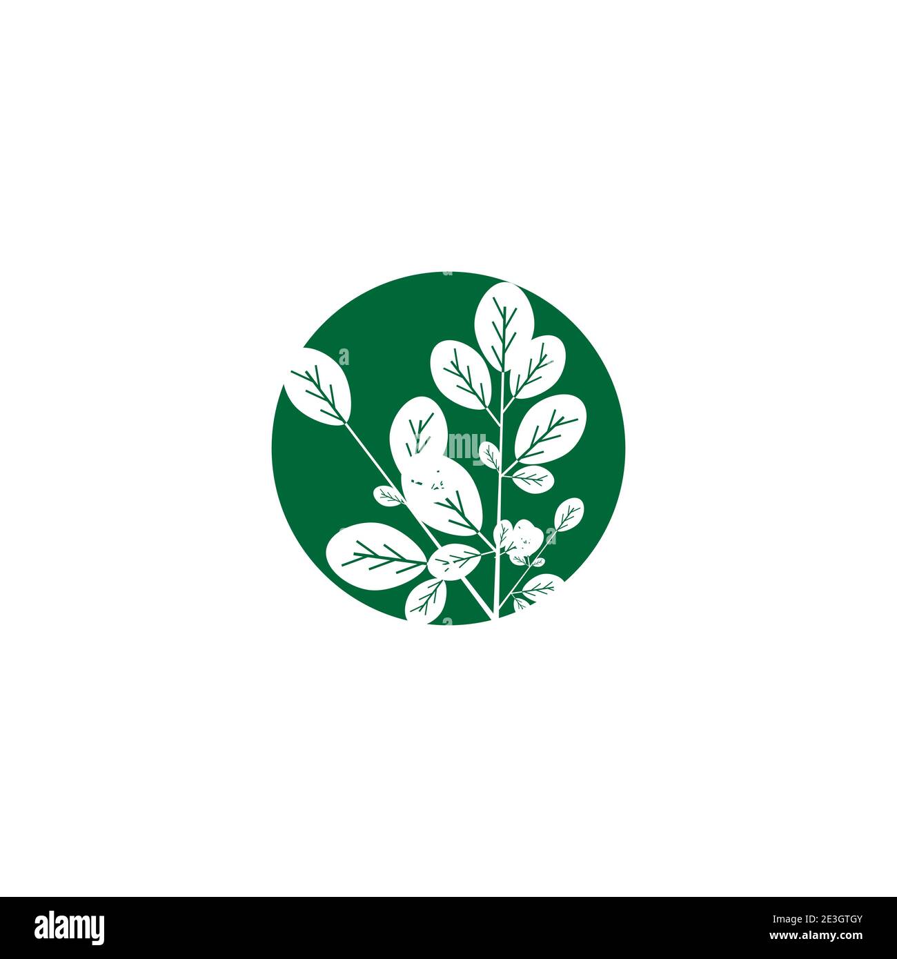 Moringa leaf Logo Template vector symbol nature Stock Vector Image ...