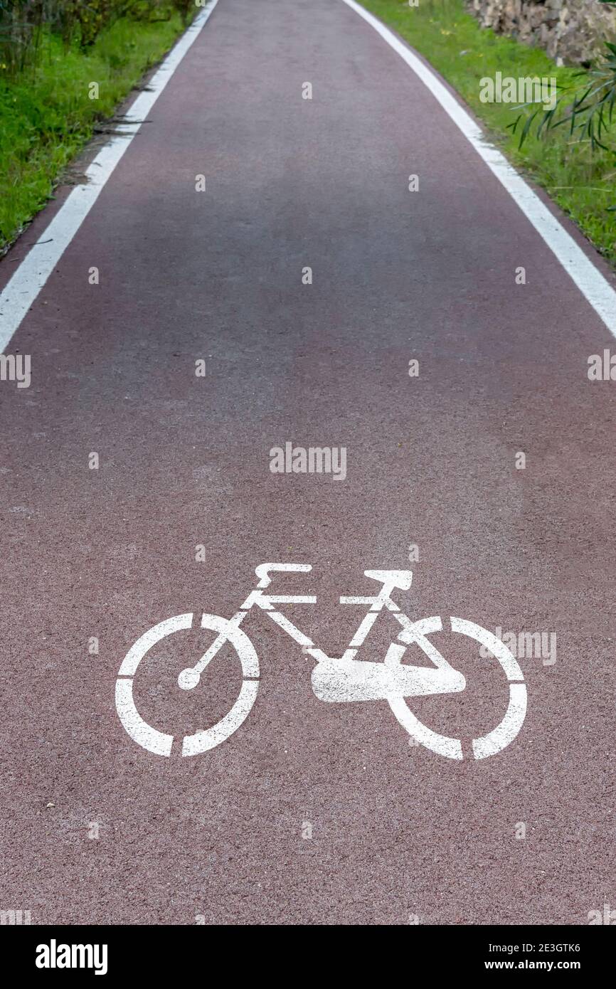 Cycle path with road signs in the woods. Foreground and depth of the ...
