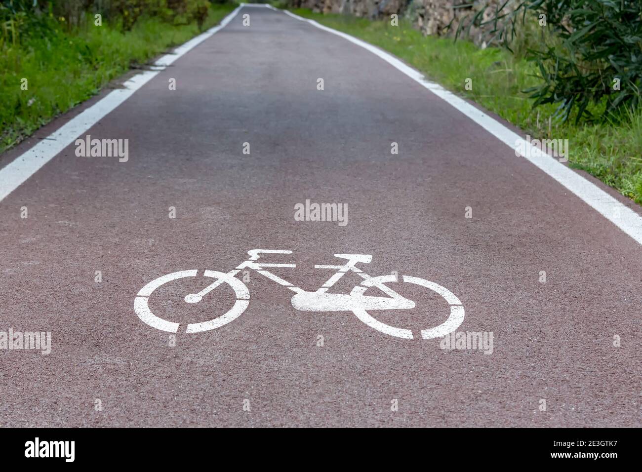 Cycle path with road signs in the woods. Foreground and depth of the ...