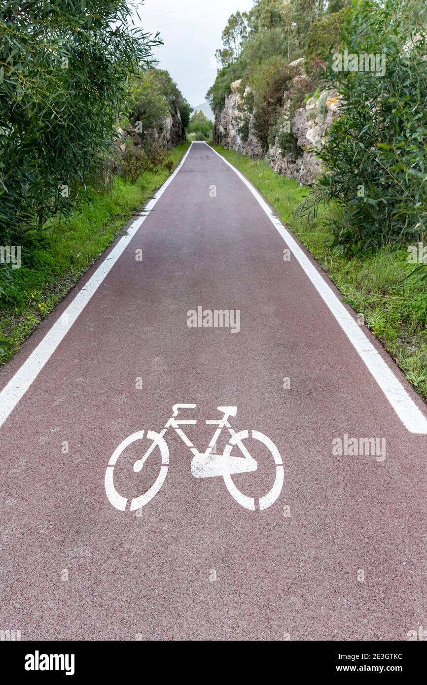 Cycle path with road signs in the woods. Foreground and depth of the ...