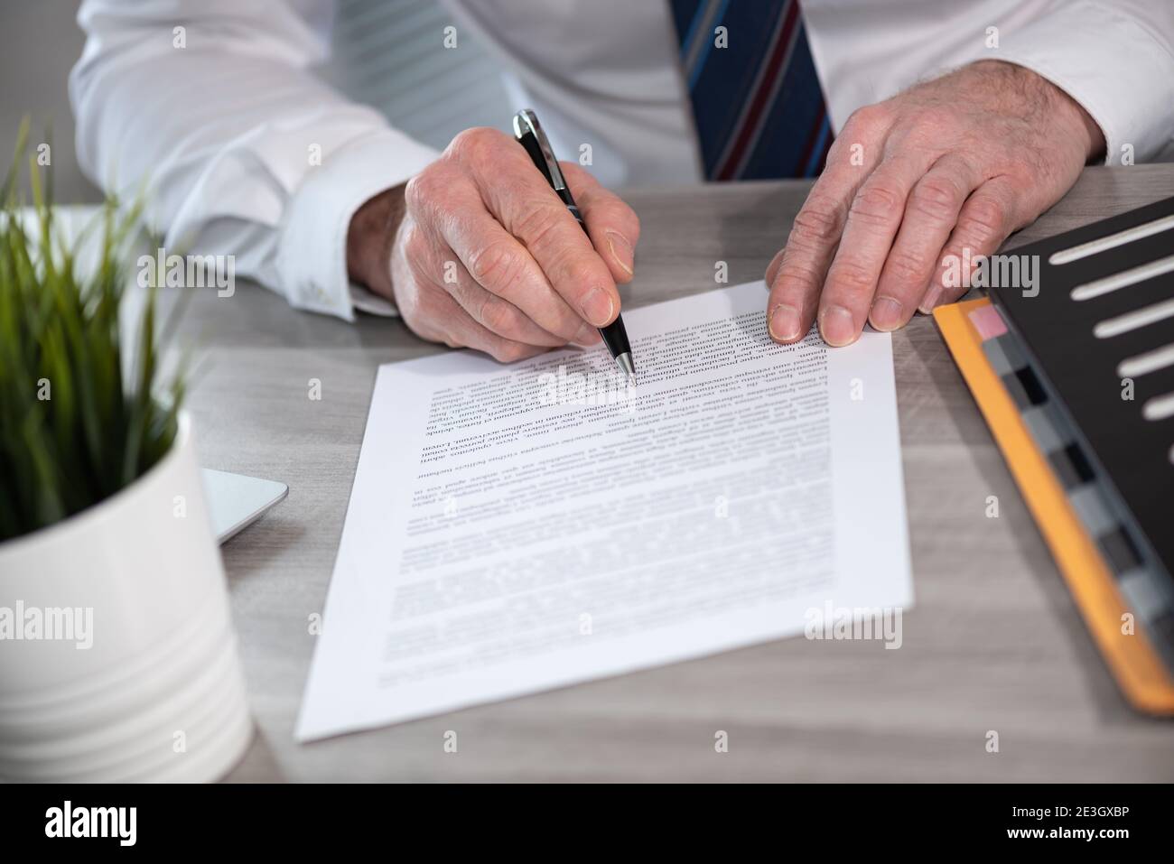 Hands businessman reading agreement hi-res stock photography and images ...