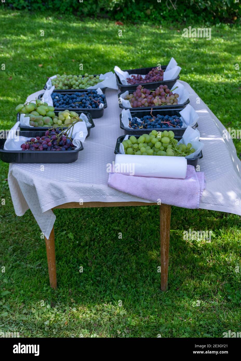 picture with grapes of different shapes and colors on the table, grape ...