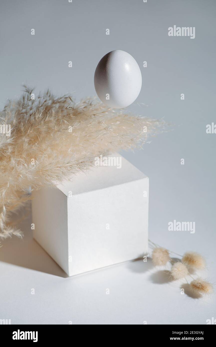 Fly Easter egg decorated with white cube and dry branches Stock Photo ...