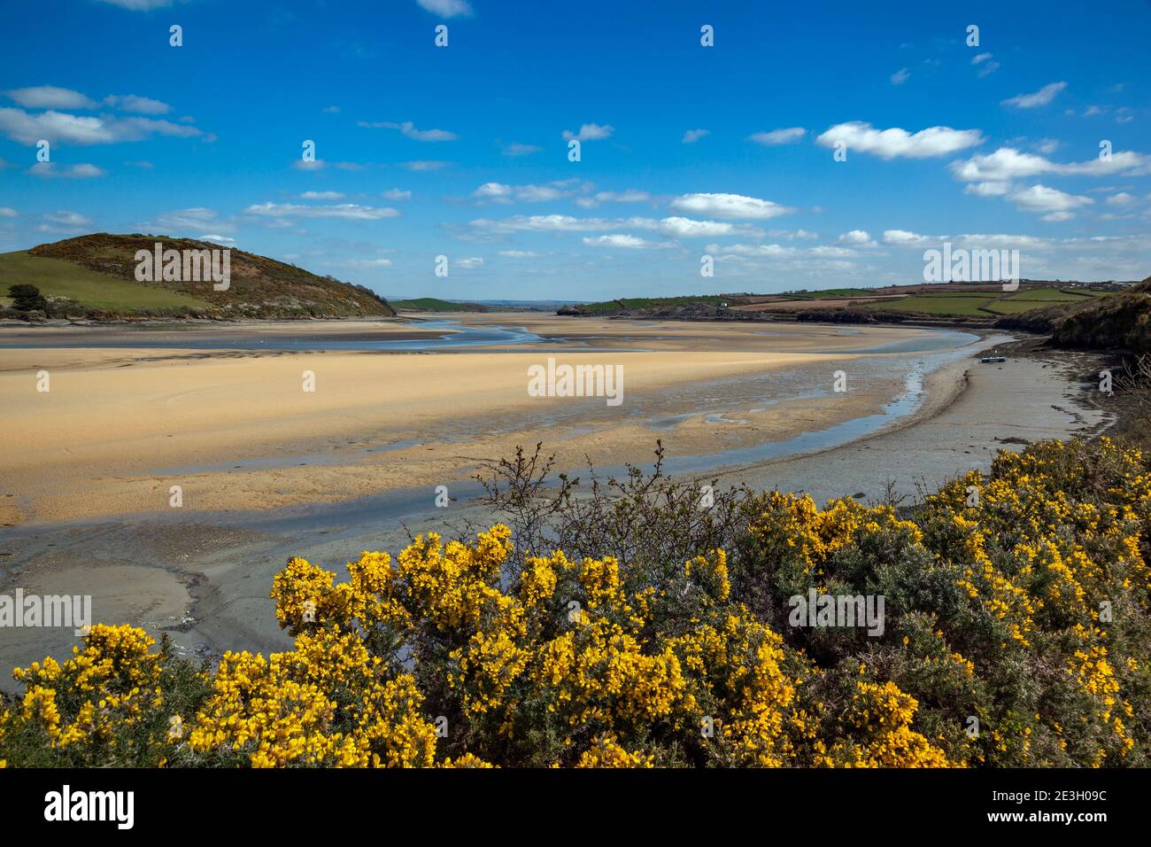 River Camel; From Camel Trail; Cornwall; UK Stock Photo - Alamy