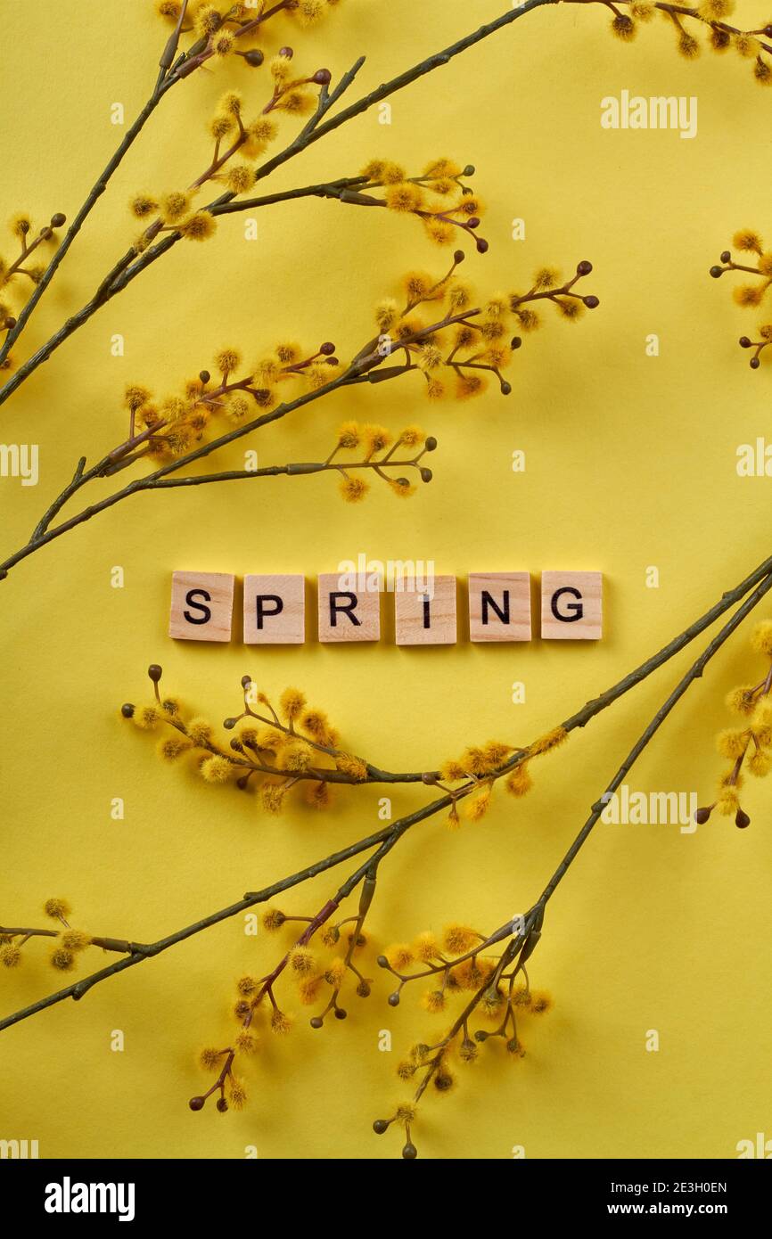 Yellow spring concept Stock Photo - Alamy
