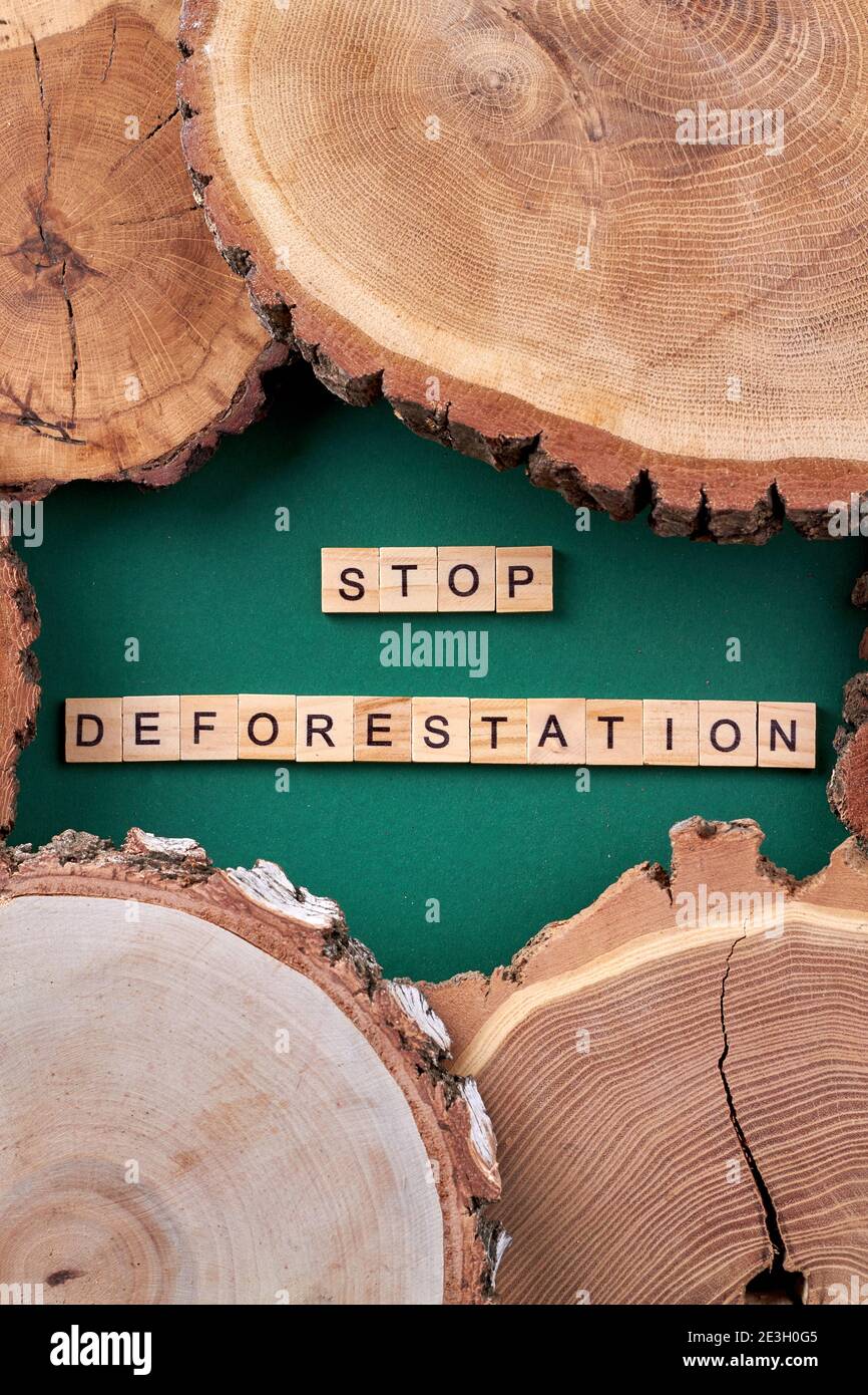 Stop Deforestation Slogans