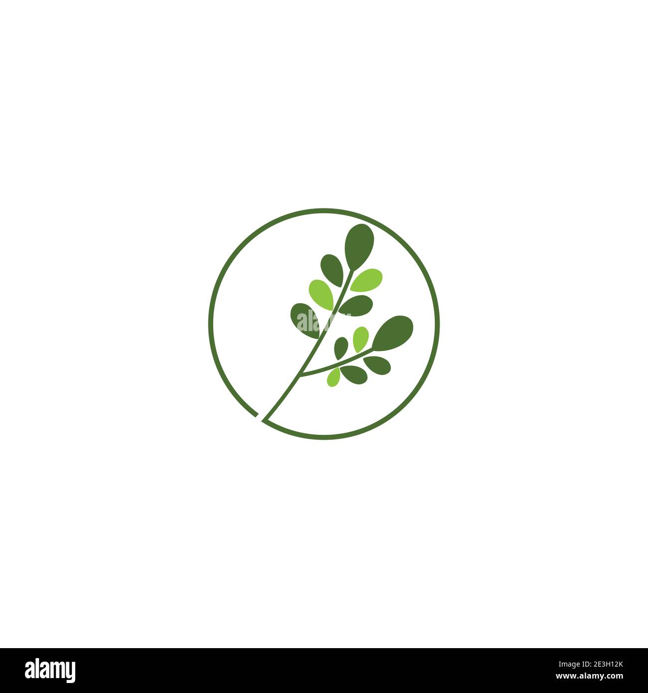 Moringa leaf Logo Template vector symbol nature Stock Vector Image ...
