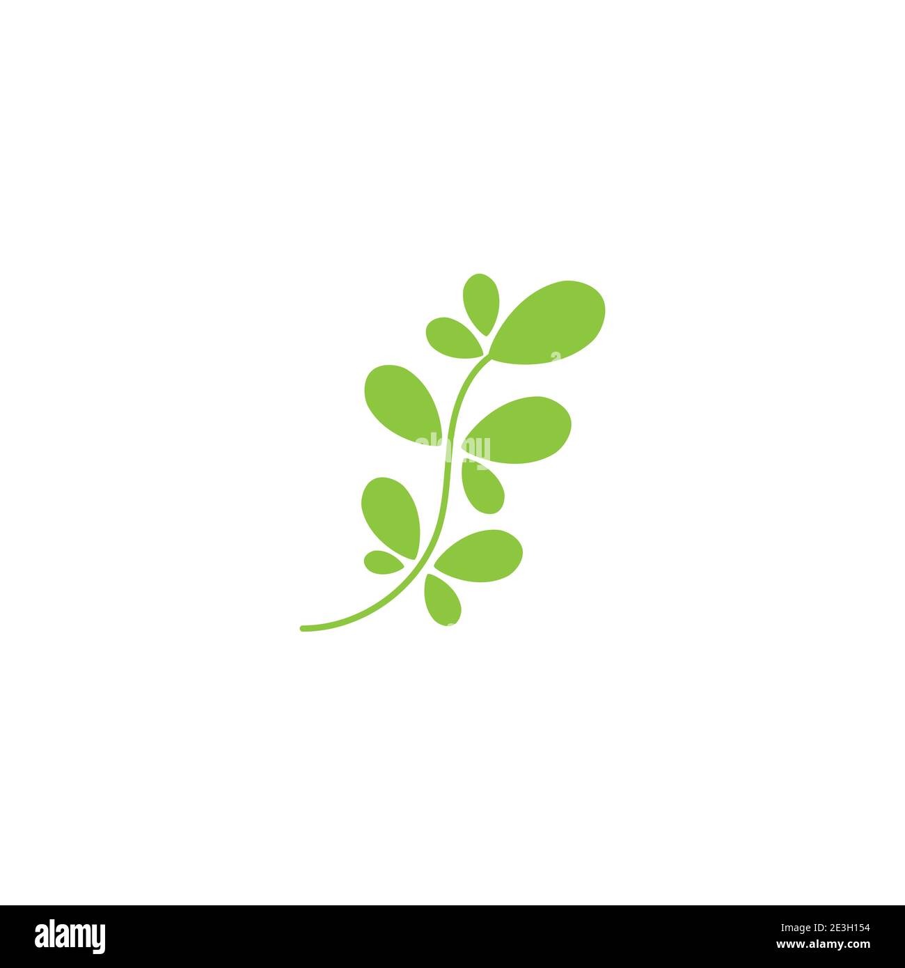 Moringa leaf Logo Template vector symbol nature Stock Vector Image ...