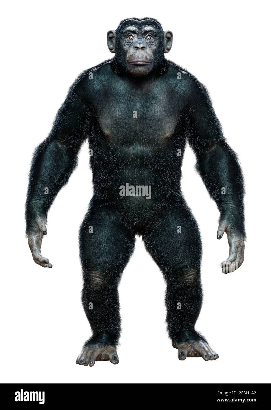3D rendering of a big chimpanzee isolated on white background Stock ...