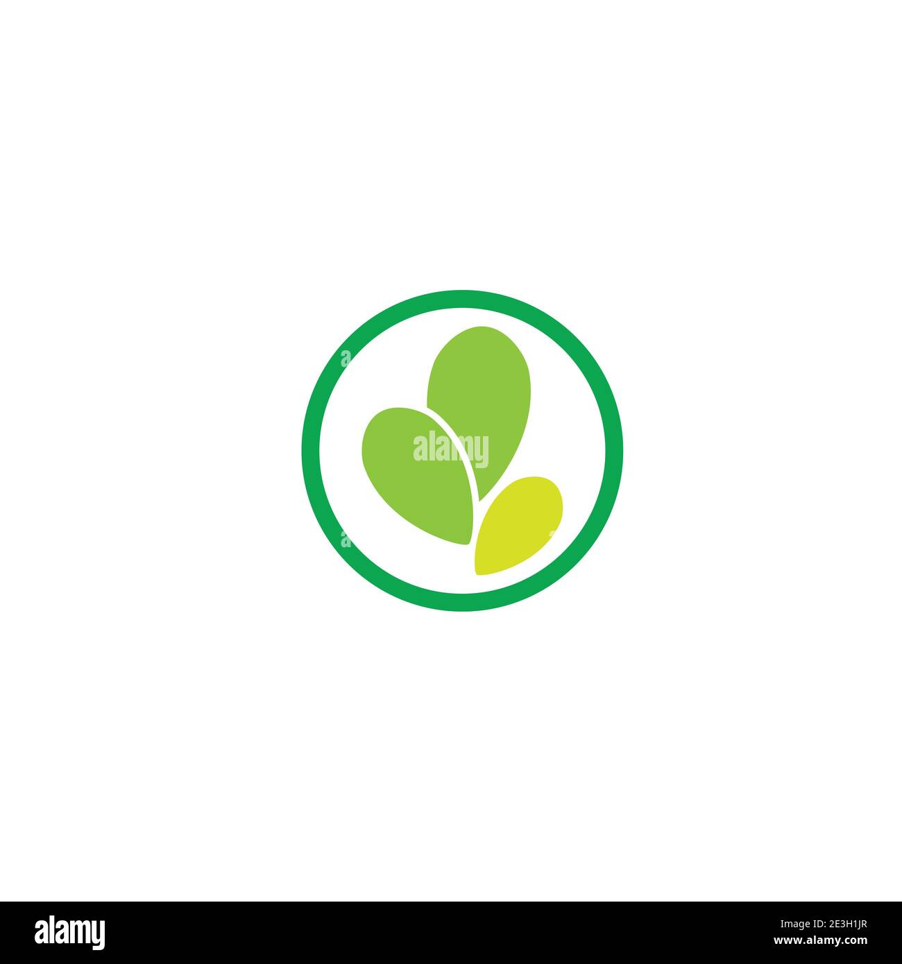 Moringa leaf Logo Template vector symbol nature Stock Vector Image ...