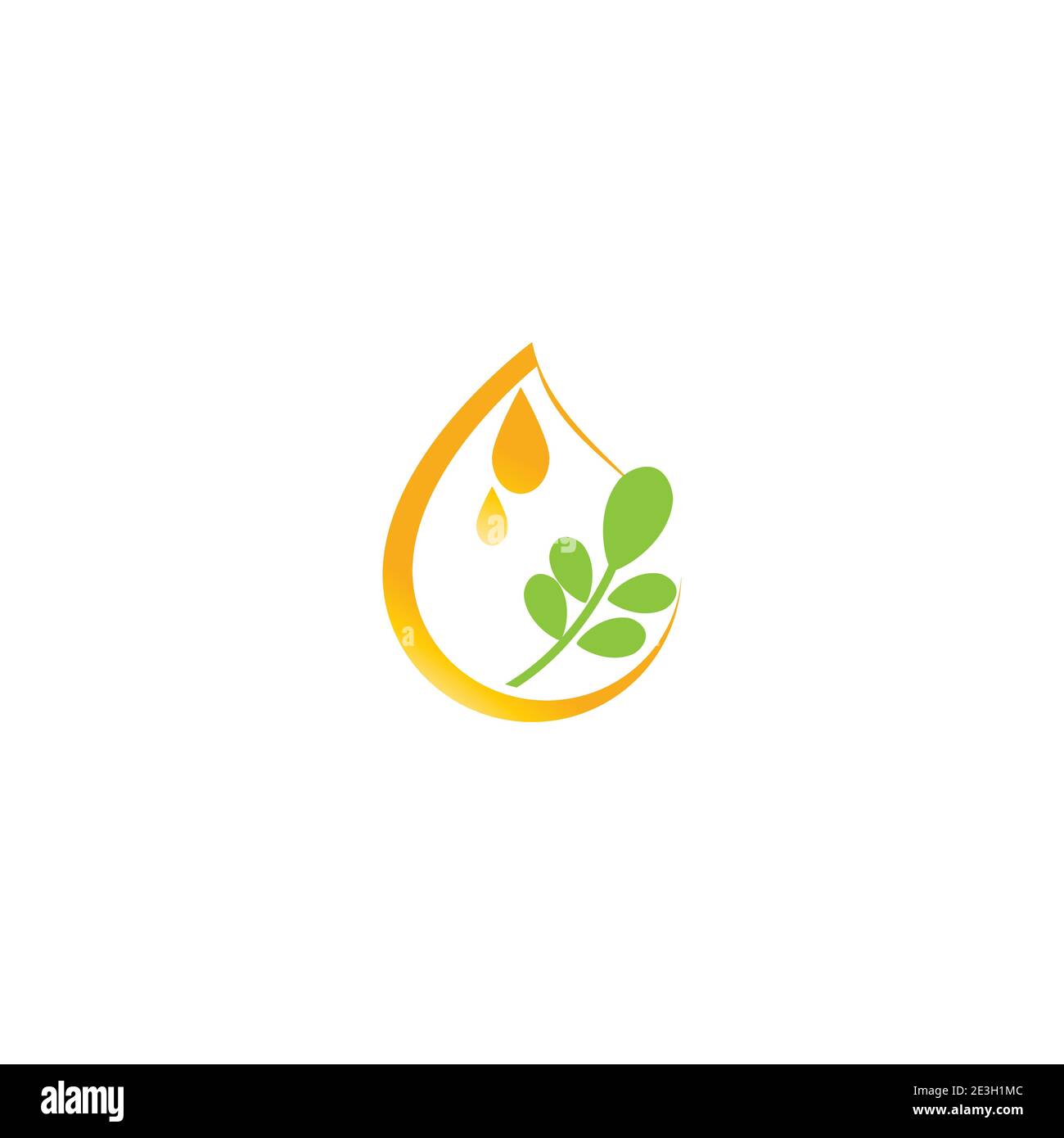 Moringa leaf Logo Template vector symbol nature Stock Vector Image ...
