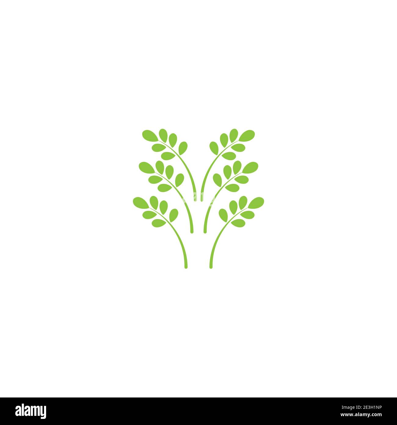 Moringa leaf Logo Template vector symbol nature Stock Vector Image ...