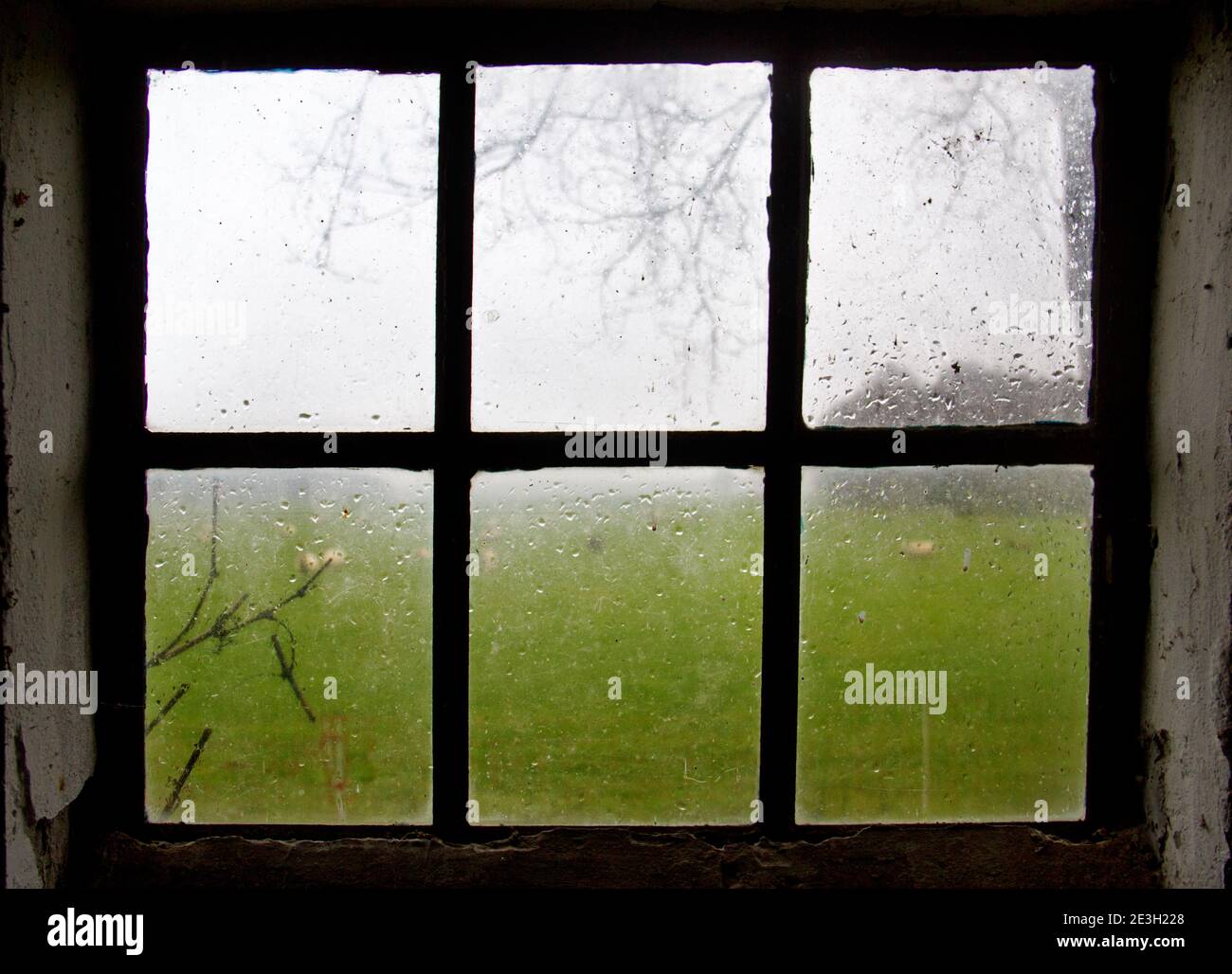 Raindrops on window. View through a stable window with bars on a meadow ...