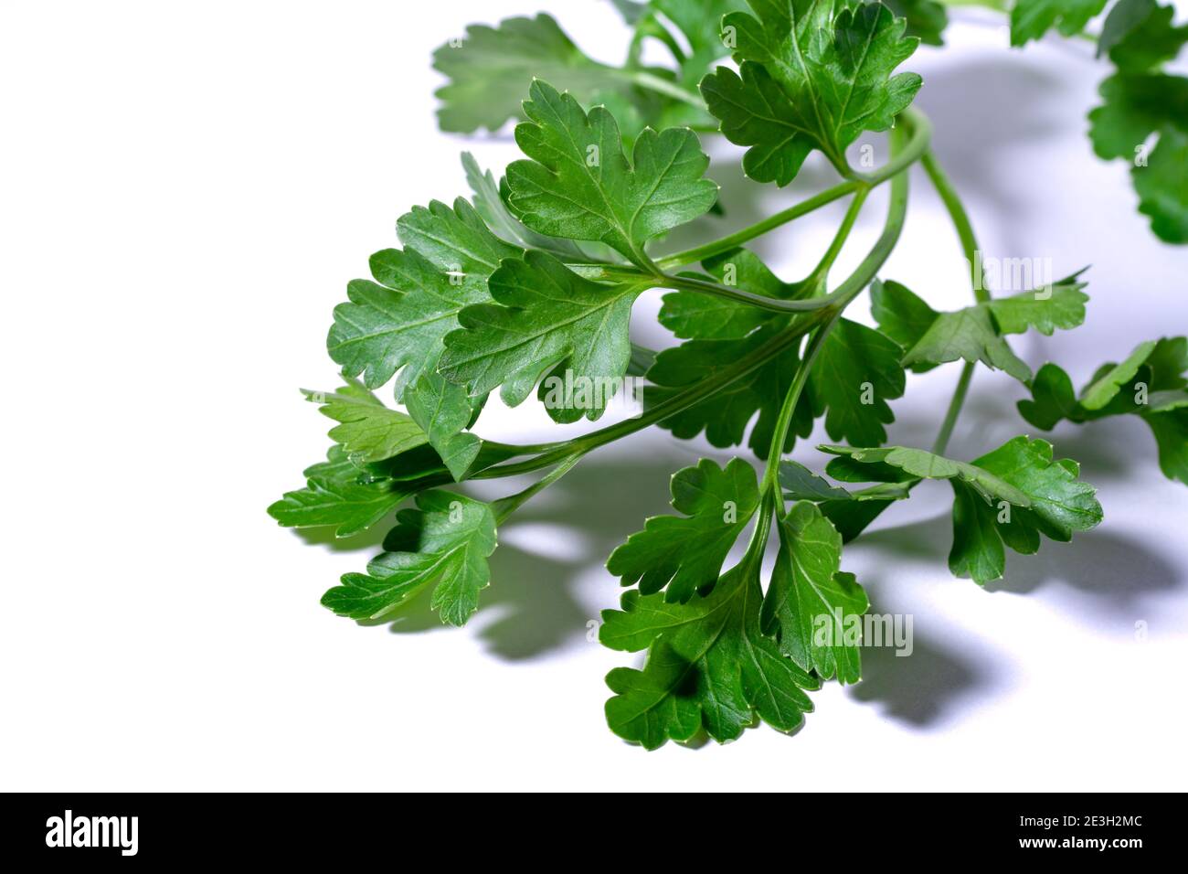 Fresh green parsley isolated on white background Stock Photo - Alamy