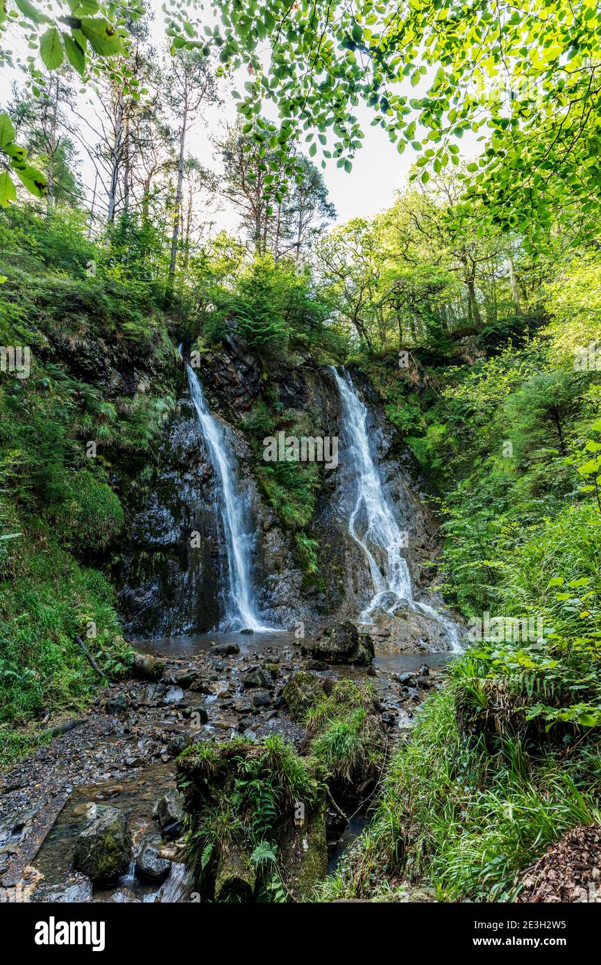 The Grey Mares Tail Waterfall; Llanwrst; Wales; UK Stock Photo - Alamy